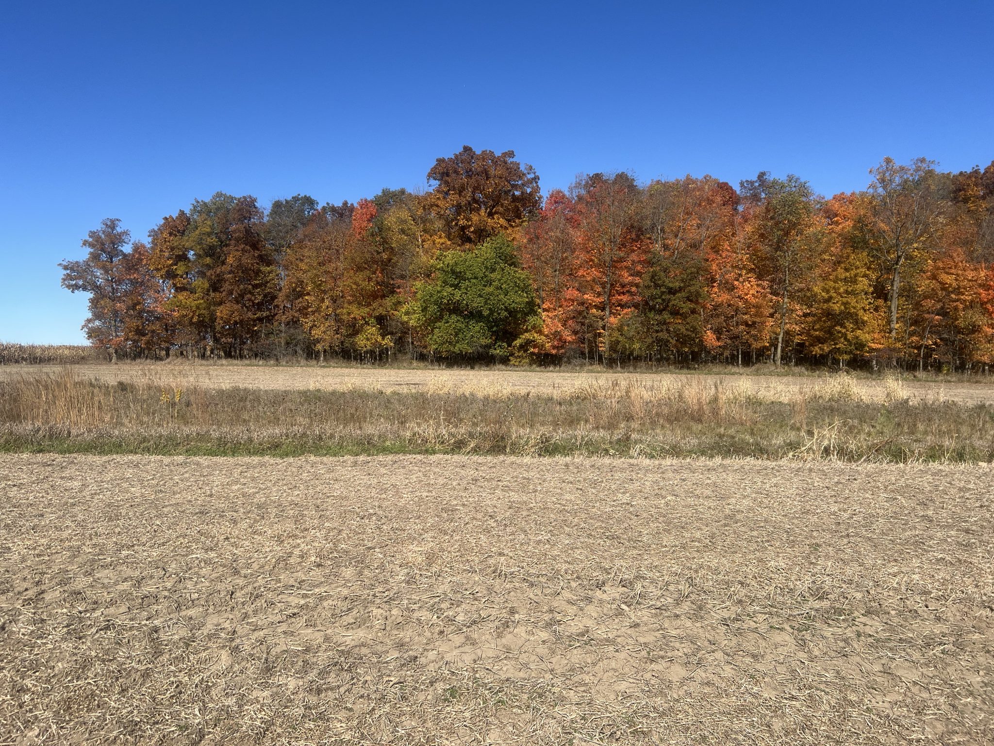 Ohio Logging Company and Standing Timber Buyer